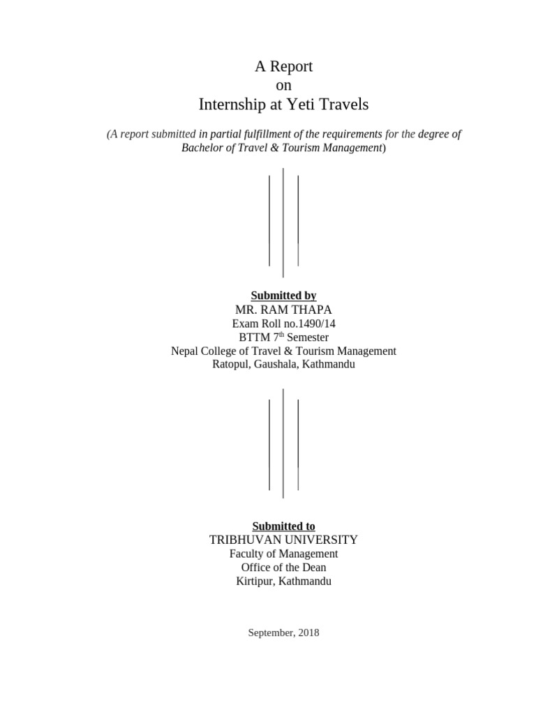 Yeti Travels Internship Report | PDF