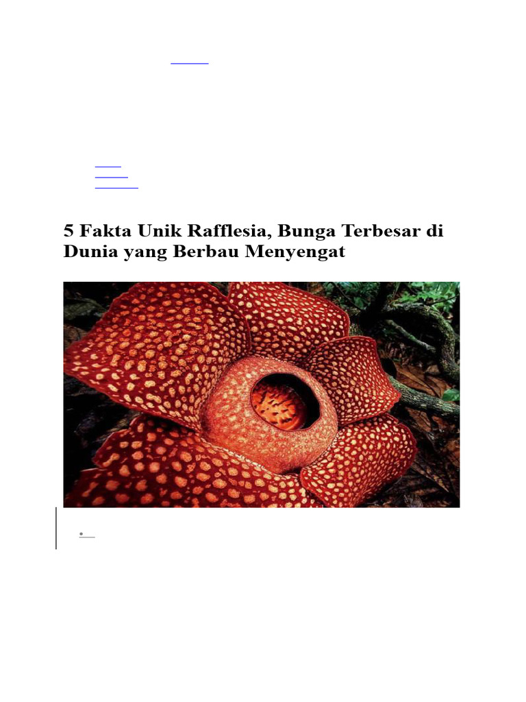 fakta tentang bunga raksasa | PDF