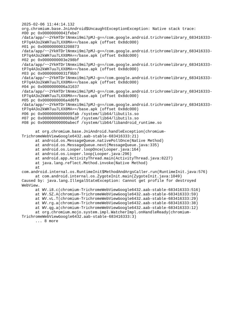 Last Crash Log | PDF