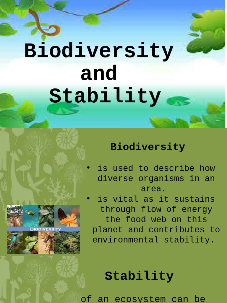 Biodiversity and Stability | PDF | Biodiversity | Foods