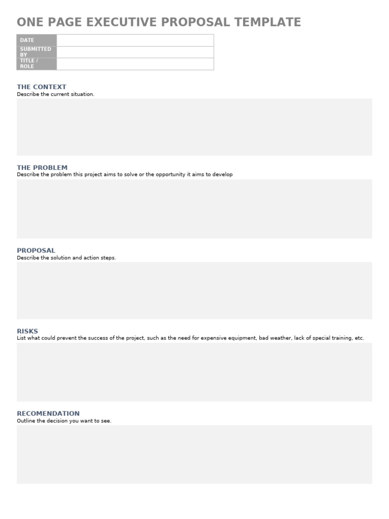 One Page Executive Proposal Template | PDF