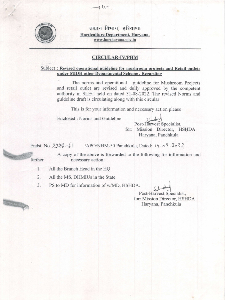 Circular IV-PHM | PDF | Audit | Financial Services