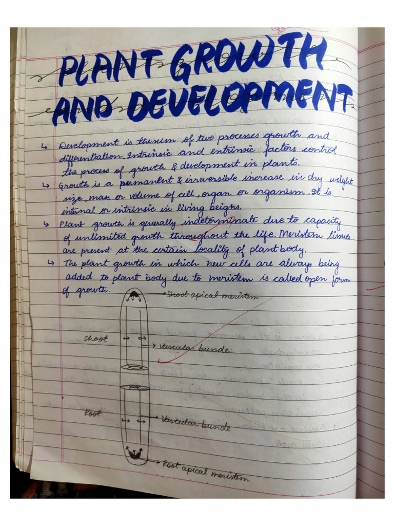 Plant Growth and Development - 250208 - 112434 | PDF