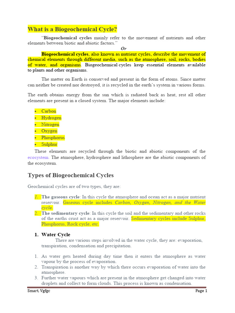 Understanding Biogeochemical Cycles | PDF | Ecosystem | Soil