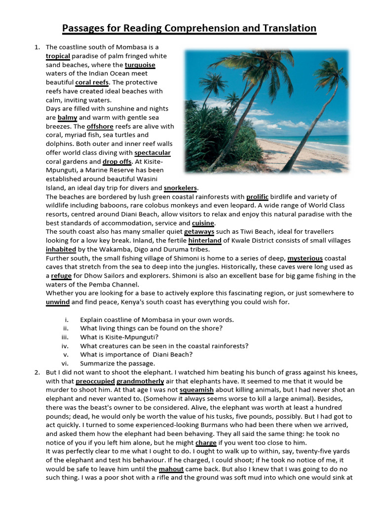 Reading Comprehension & Translation Passages | PDF | Urdu | Plastic Surgery