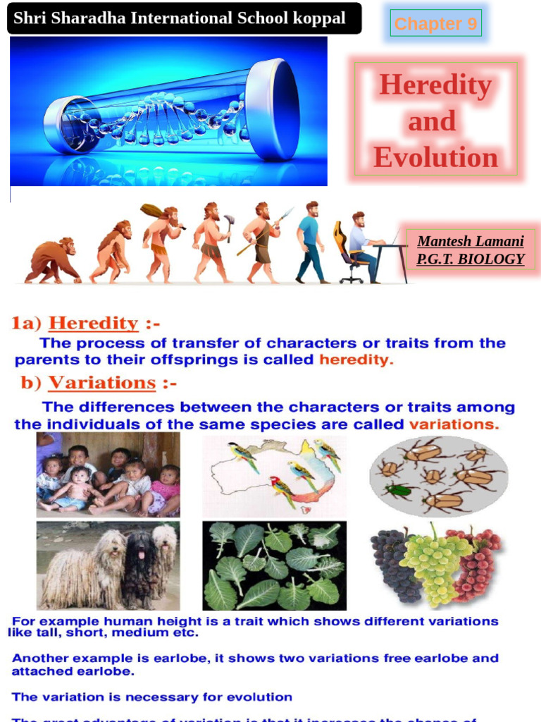 Heredity and Evolution Overview | PDF