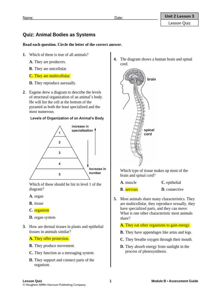 Animals Bodies As System Answers | PDF | Tissue (Biology) | Insects