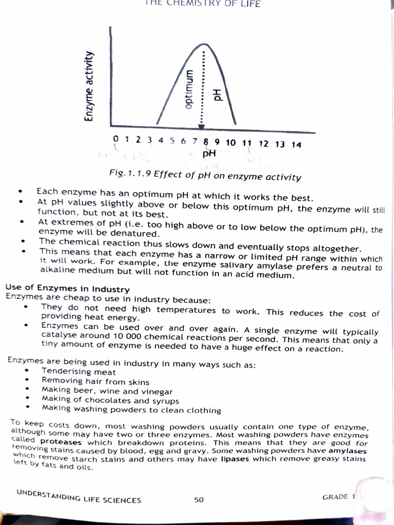 Adobe Scan 07 May 2024 (4) | PDF | Enzyme | Chemistry