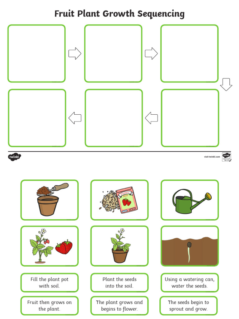 T T 10560 Plant Growth Sequencing Activity - Ver - 6 | PDF