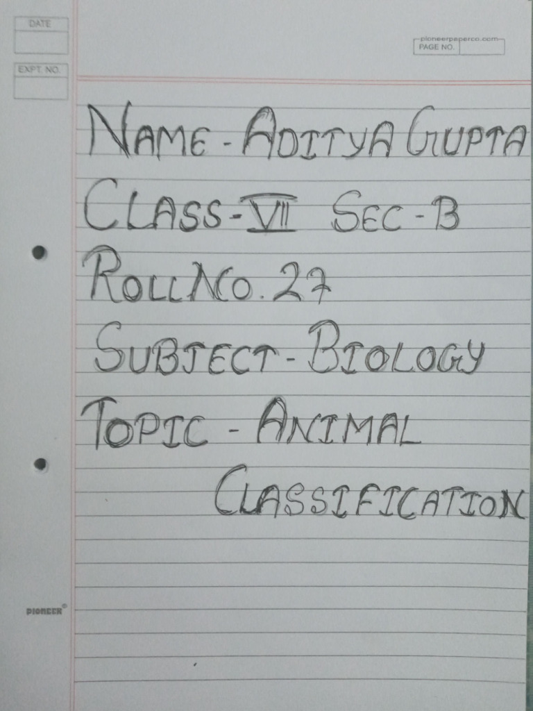 Overview of Animal Classification | PDF