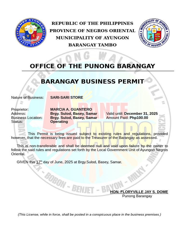 Barangay Business Permit 2025 | PDF