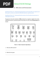 Mitosis Mover Webquest Bioman PDF | PDF | Mitosis | Chromosome