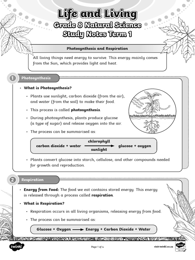 Grade 8 Natural Science Study Notes Term 1-Life and Living BW | PDF ...
