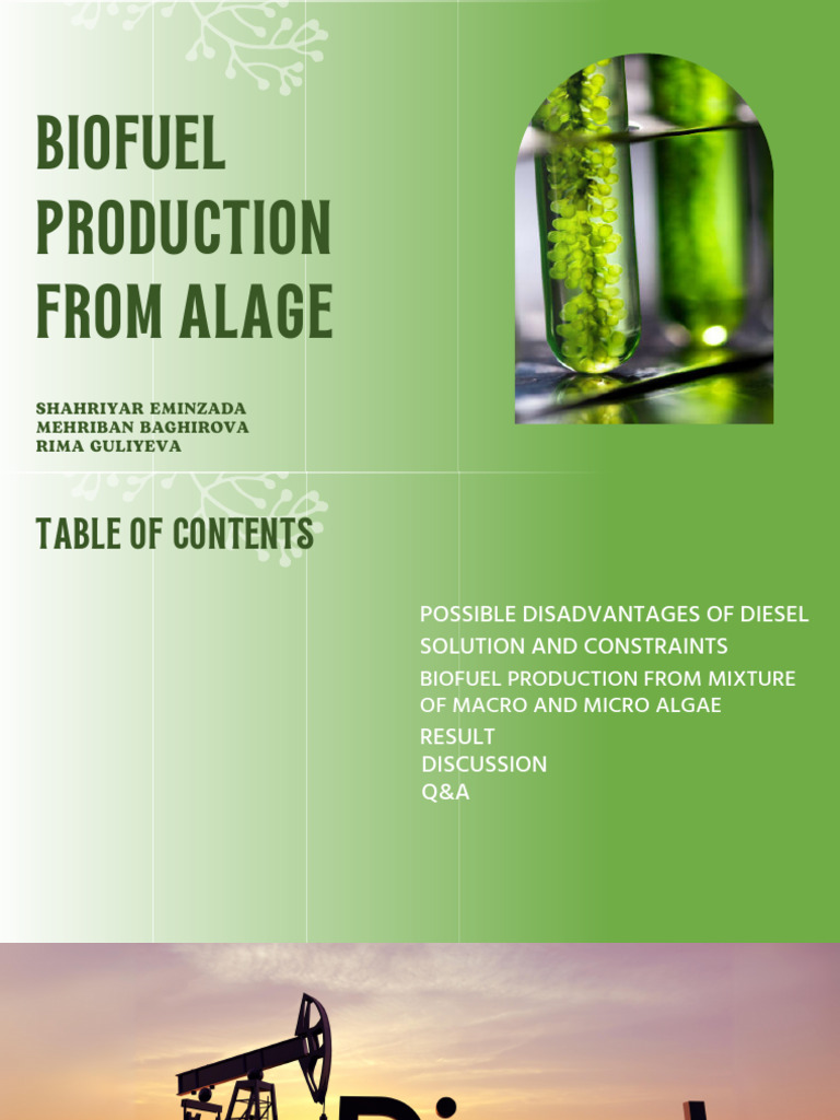 Algal Biofuel Production Process | PDF | Algae Fuel | Biofuel