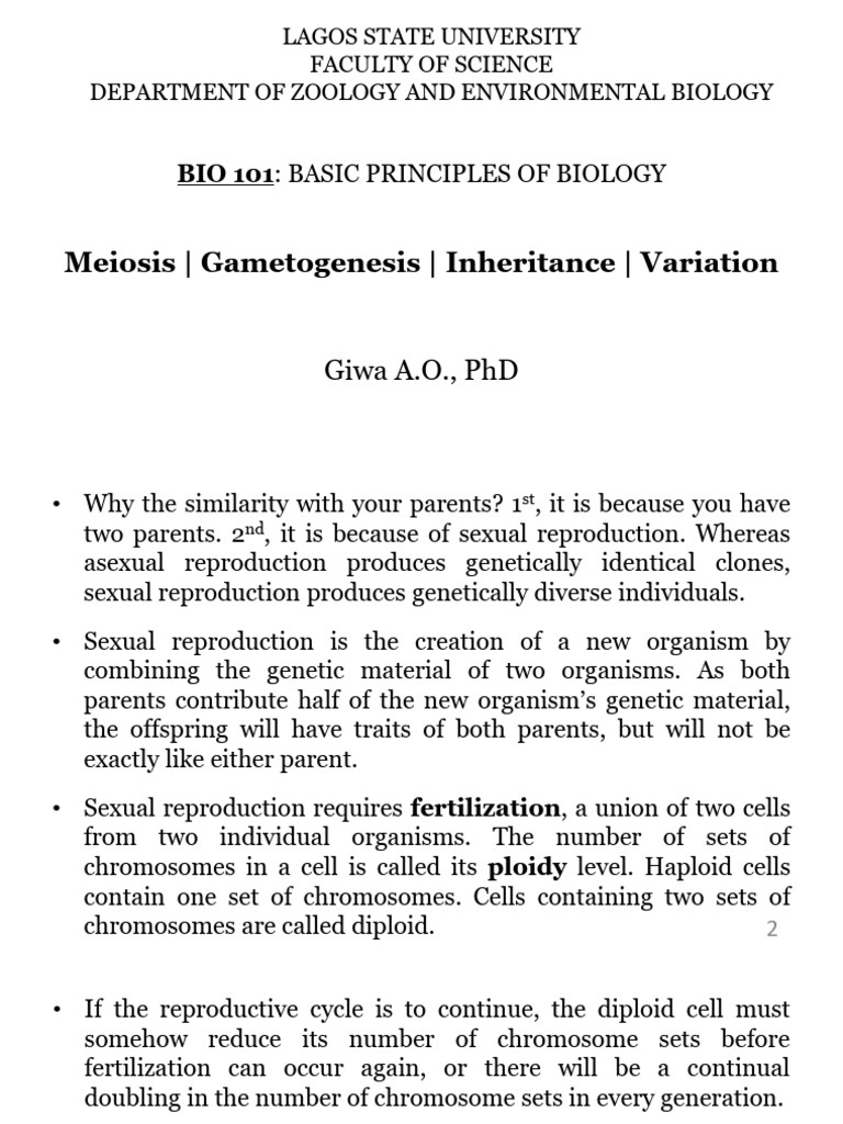 BIO 101_6 | PDF | Meiosis | Dominance (Genetics)