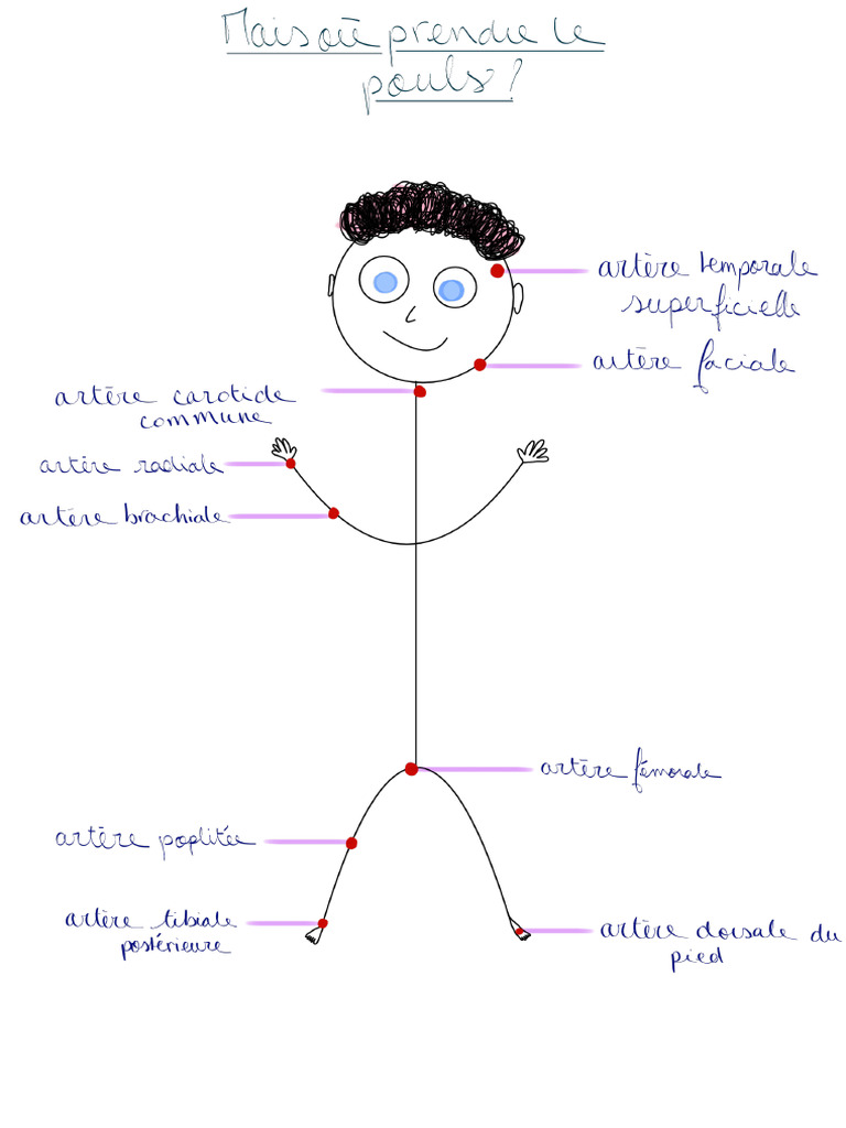 Où Prendre Le Pouls | PDF