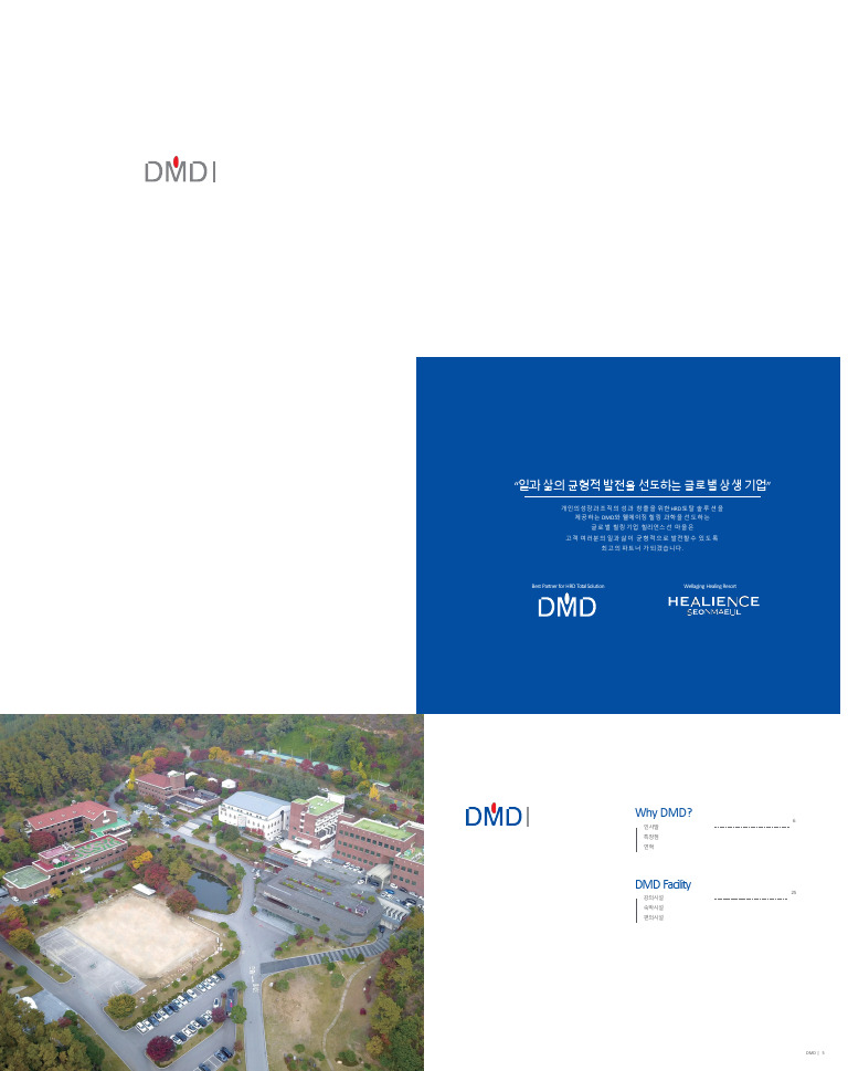 DMD 브로셔 | PDF