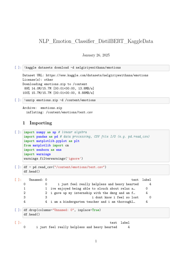 Emotion Classification with DistilBERT | PDF