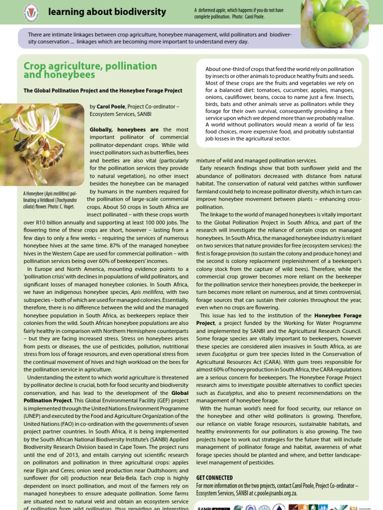 Honeybees and Crop Pollination Insights | PDF
