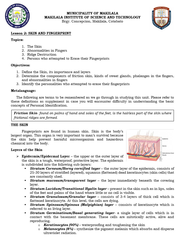 Lesson 2 Skin and Fingerprint SC | PDF | Skin | Epidermis