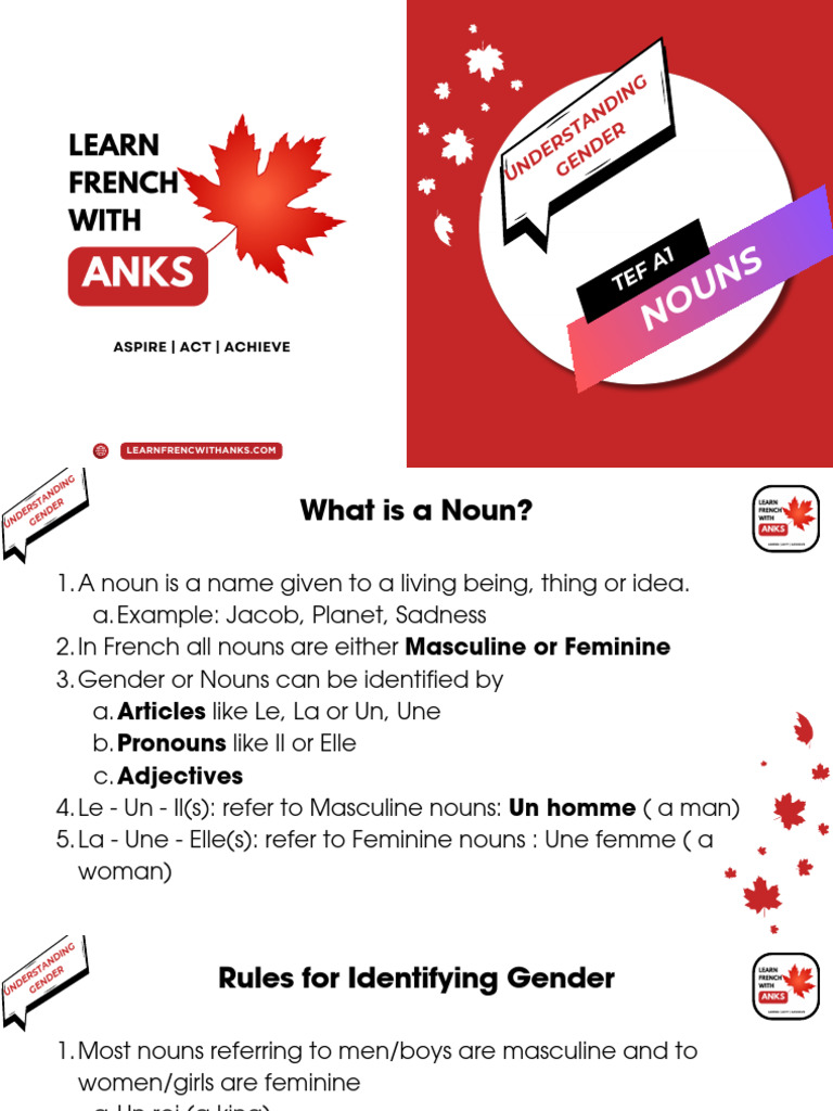 Comprendre le genre des noms en français | PDF