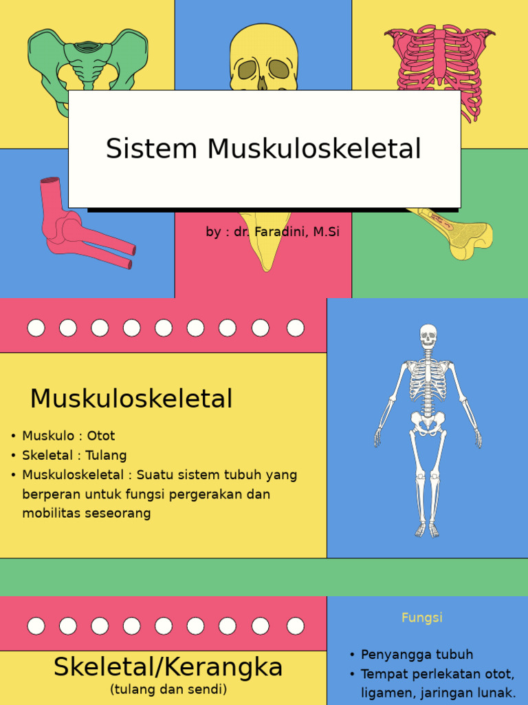 2. Sistem Muskuloskeletal | PDF