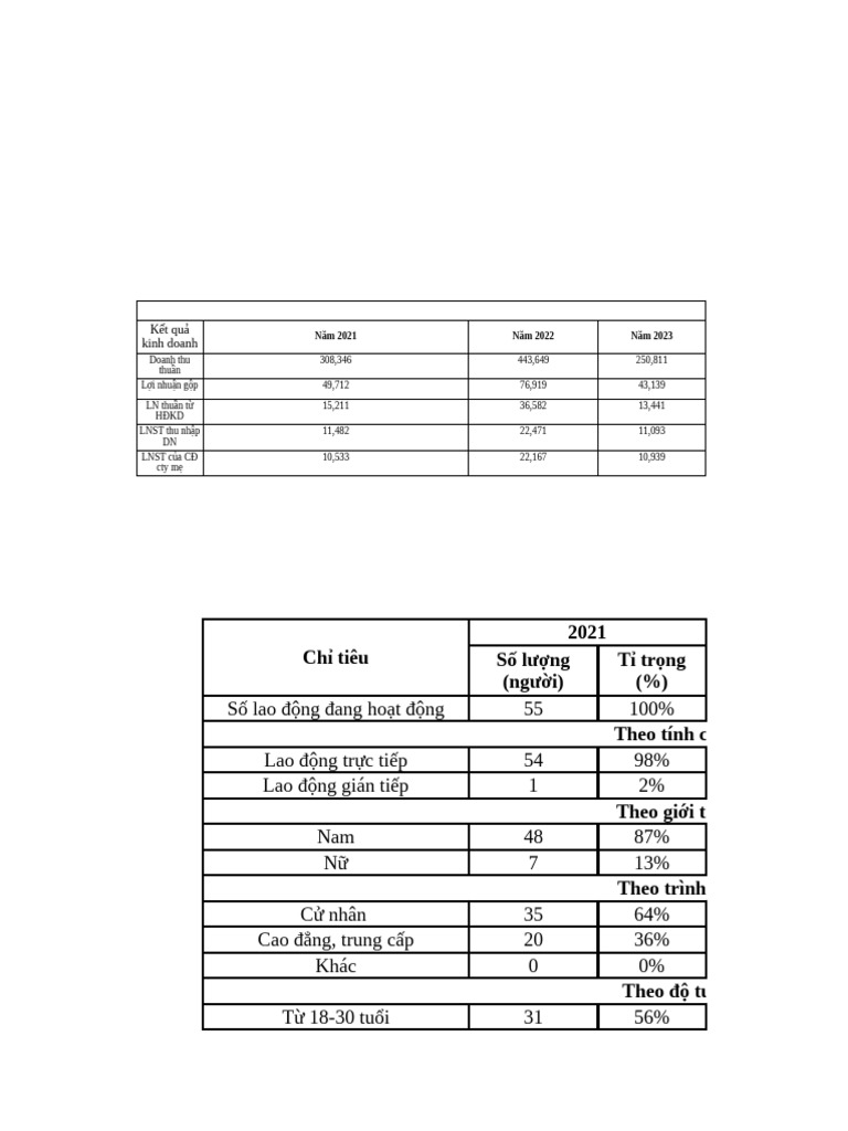 Số Liệu Tài Chính - Ctcp Đầu Tư Và Công Nghệ Hvc | PDF