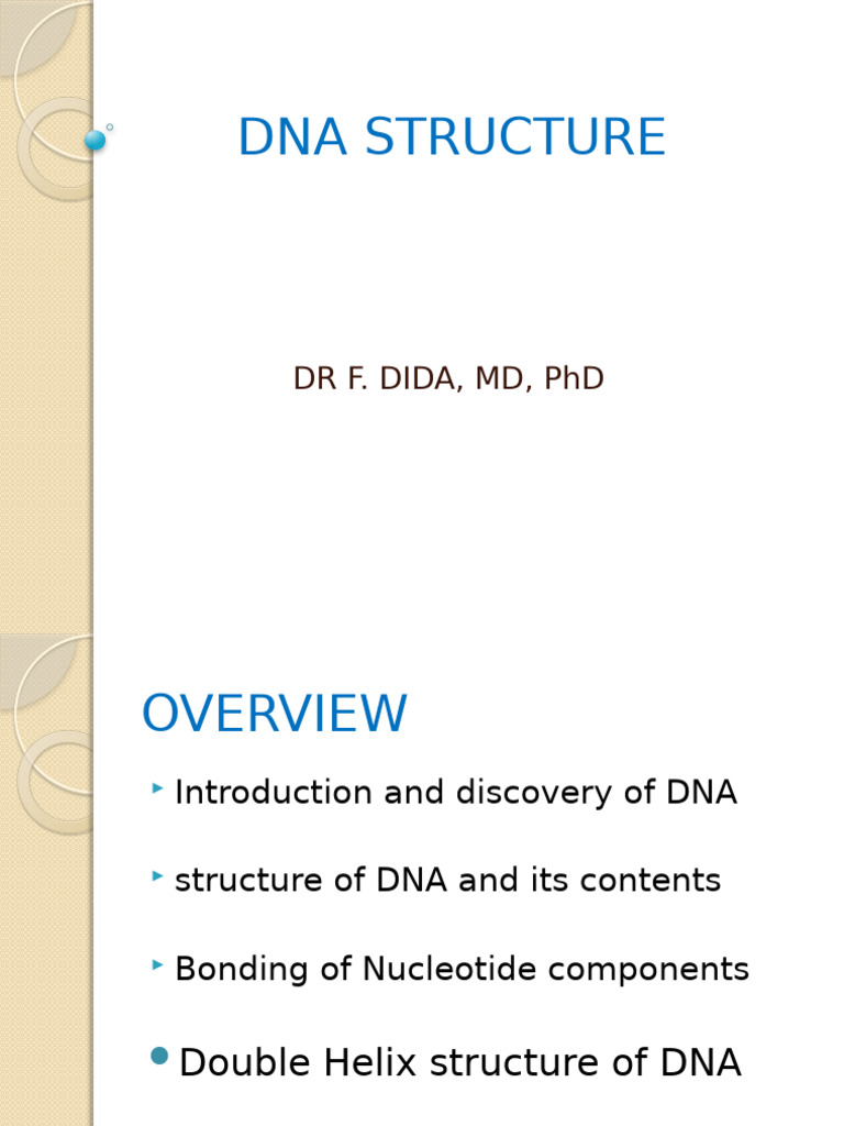 DNA STRUCTURE BC 100 | PDF | Dna | Nucleic Acids