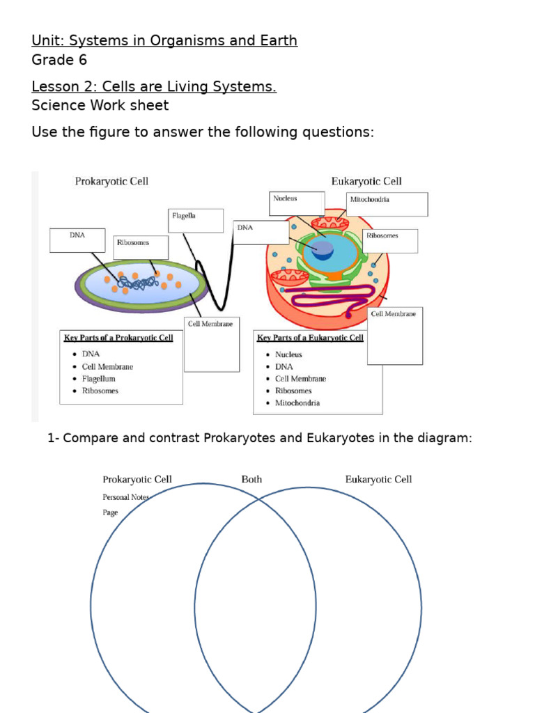 Prokaryotes and Eukaryotes | PDF