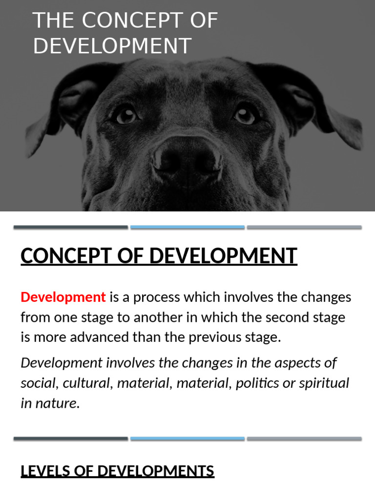 The Concept of Development | PDF | Millennium Development Goals ...