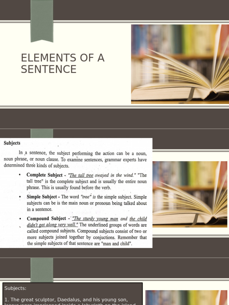 Elements of A Sentence | PDF