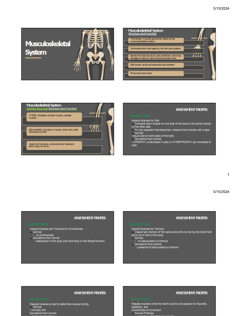 Musculoskeletal ppt word | PDF | Anatomical Terms Of Motion | Human Body