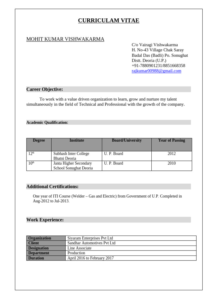 Mohit Resume | PDF