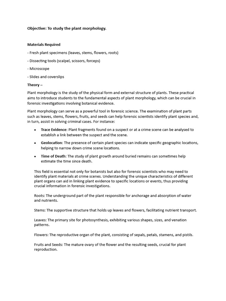 Plant Morphology | PDF | Flowers | Leaf