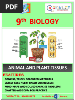 Tissues Class 9 Notes With Flashcards | PDF | Tissue (Biology) | Epithelium
