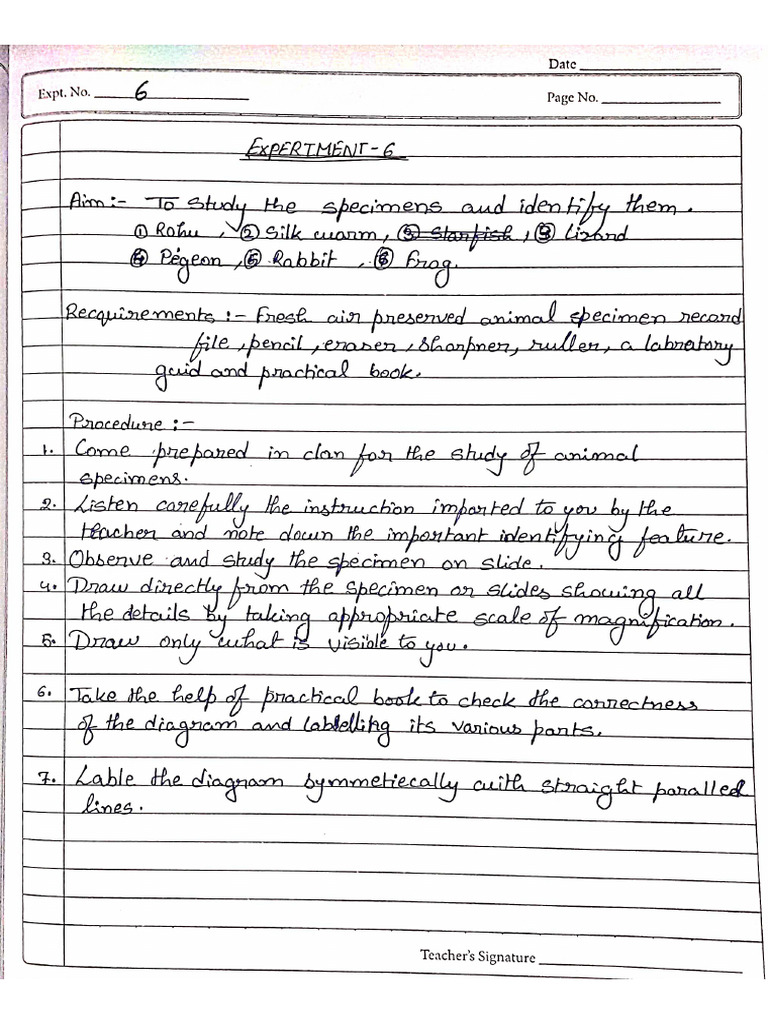 Bio Practical No.6 by Soumyajit Pal | PDF