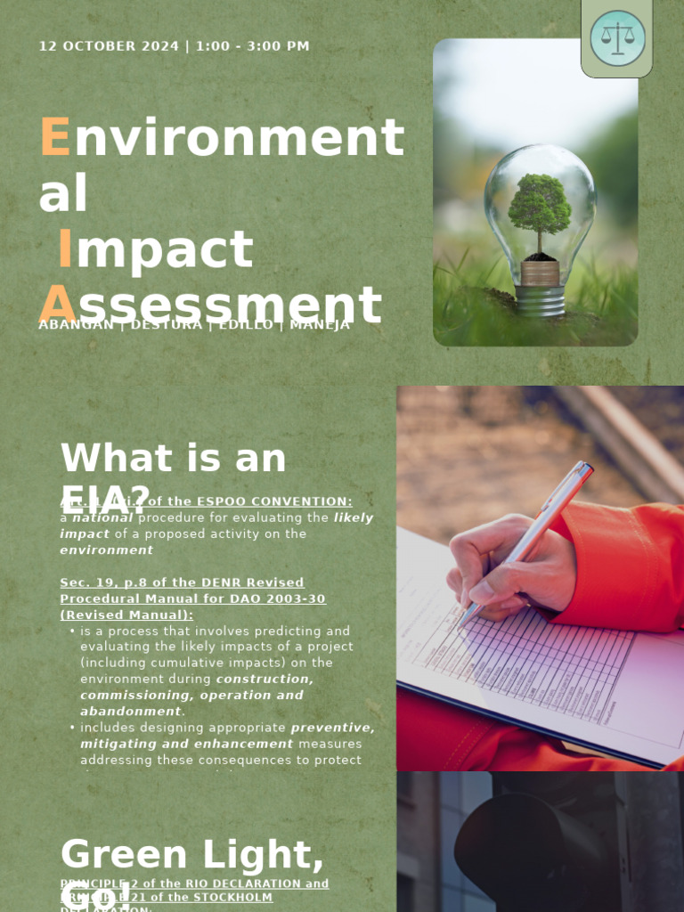 Understanding Environmental Impact Assessments | PDF | Environmental ...