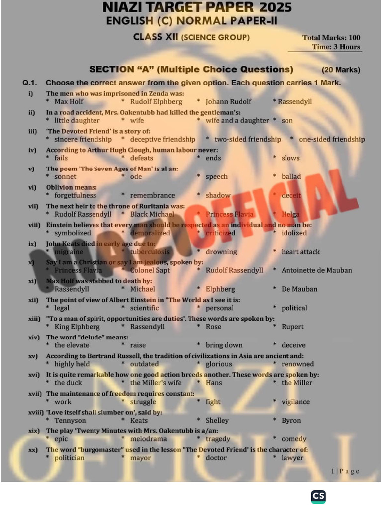 NIAZI XII ENGLISH TARGET PAPER 2025 | PDF