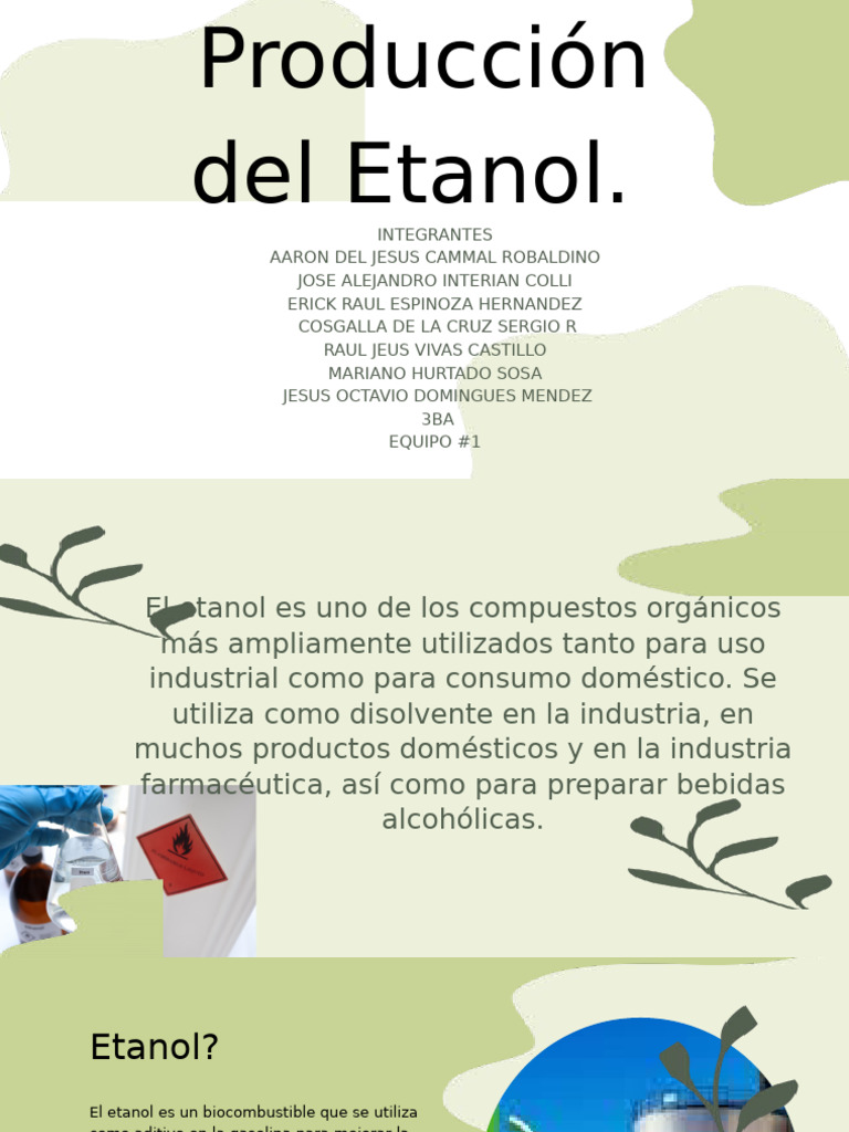 Producción Del Etanol. | PDF | Fermentación | Etanol