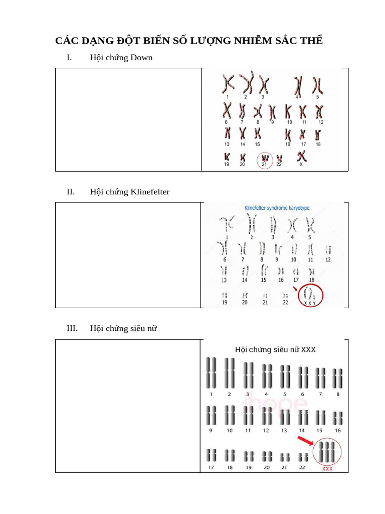 CÁC DẠNG ĐỘT BIẾN SỐ LƯỢNG NST | PDF