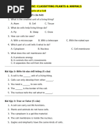 Plant Classification Worksheet | PDF | Plants | Leaf