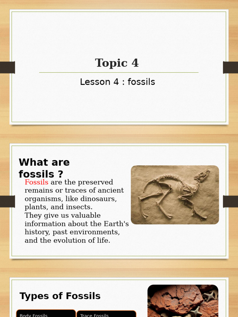 fossils | PDF | Fossil | Tooth