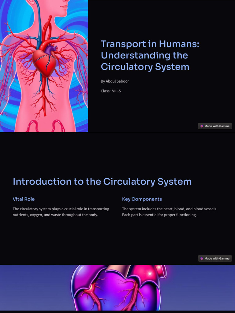 Transport in Humans Understanding The Circulatory System | PDF ...