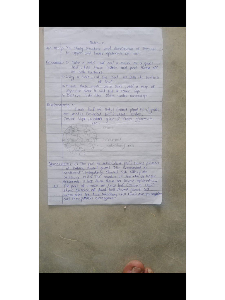 Batch 2 Biology | PDF