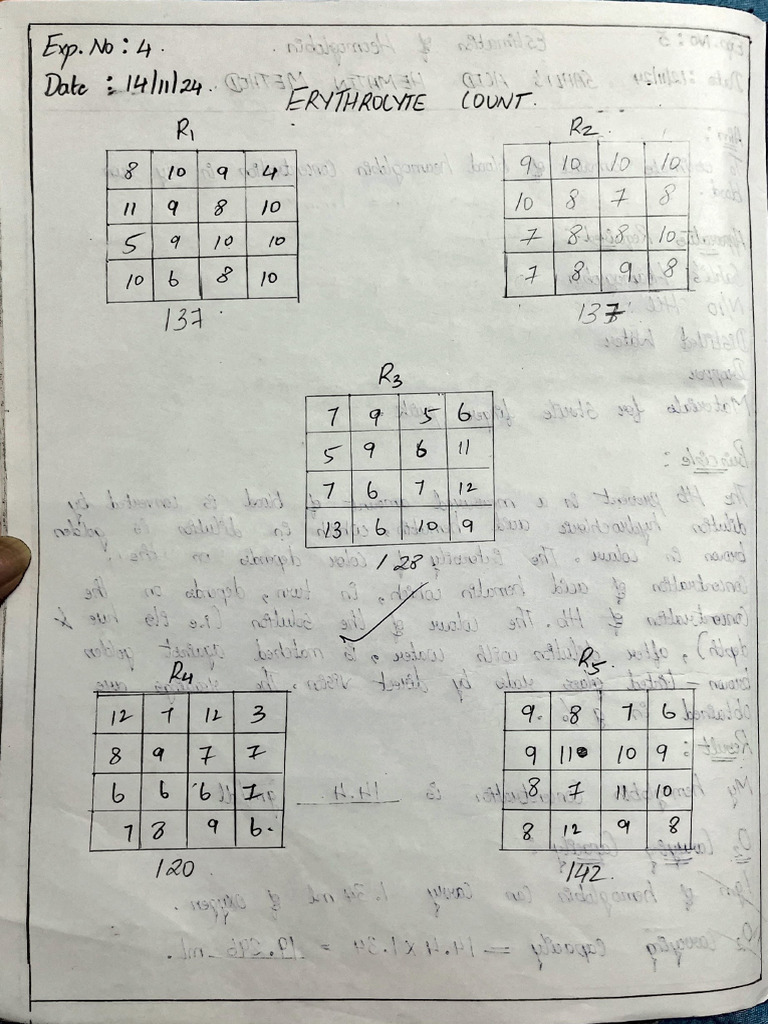 Major Experiment | PDF
