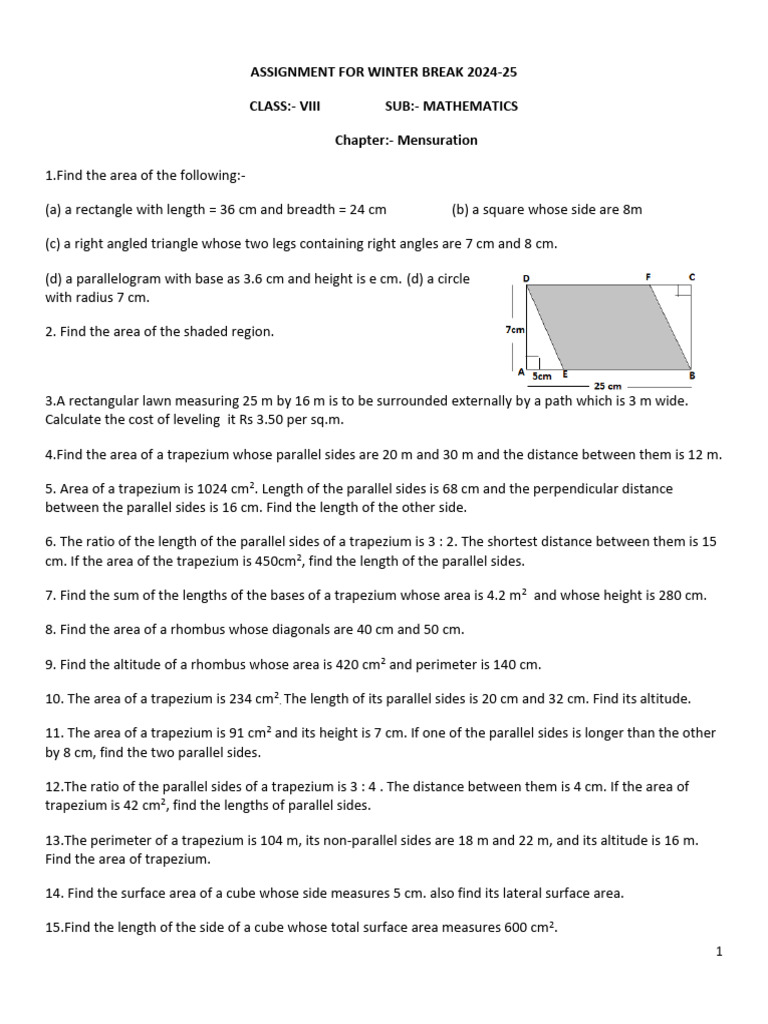 Assingment For Winter Break VIII | PDF | Area | Length