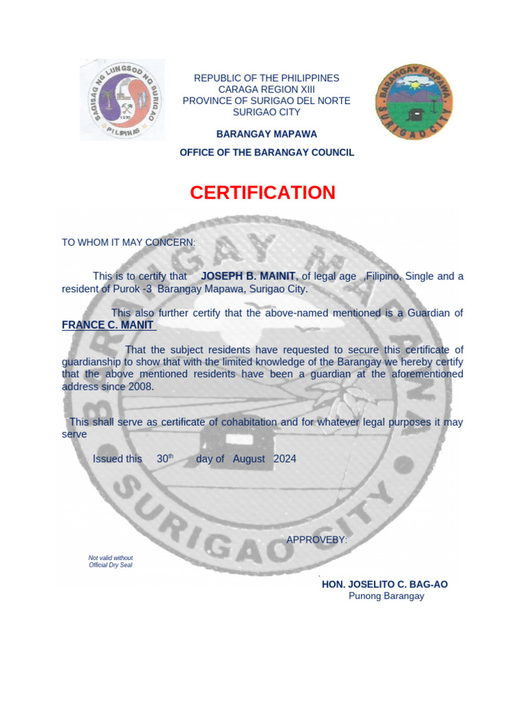 CERTIFICATE OF GUARDIANSHIP | PDF