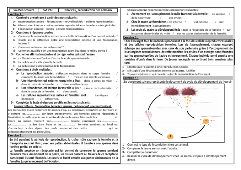 La Reproduction Chez Les Animaux Exercices Word 1 | PDF | Fécondation ...