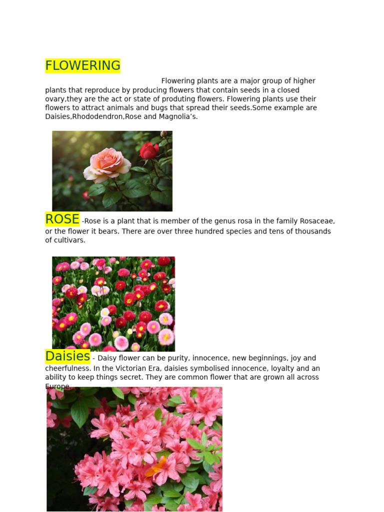Overview of Flowering Plants and Species | PDF