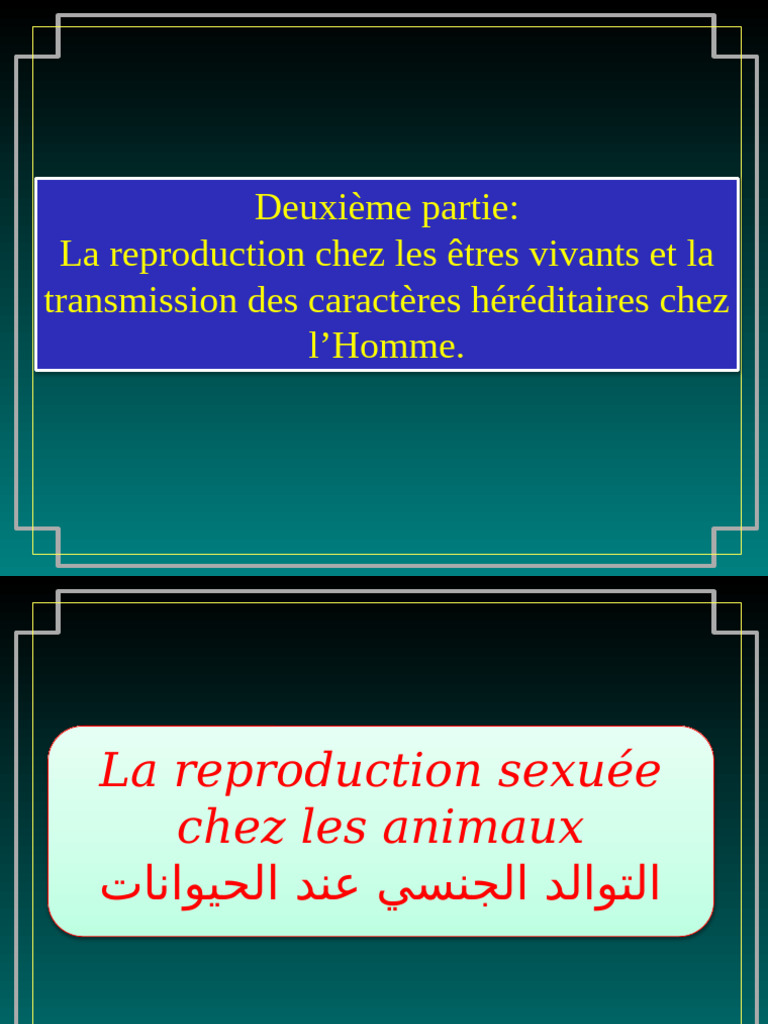 Reproduction sexuée chez les animaux | PDF | Fécondation | Mâle